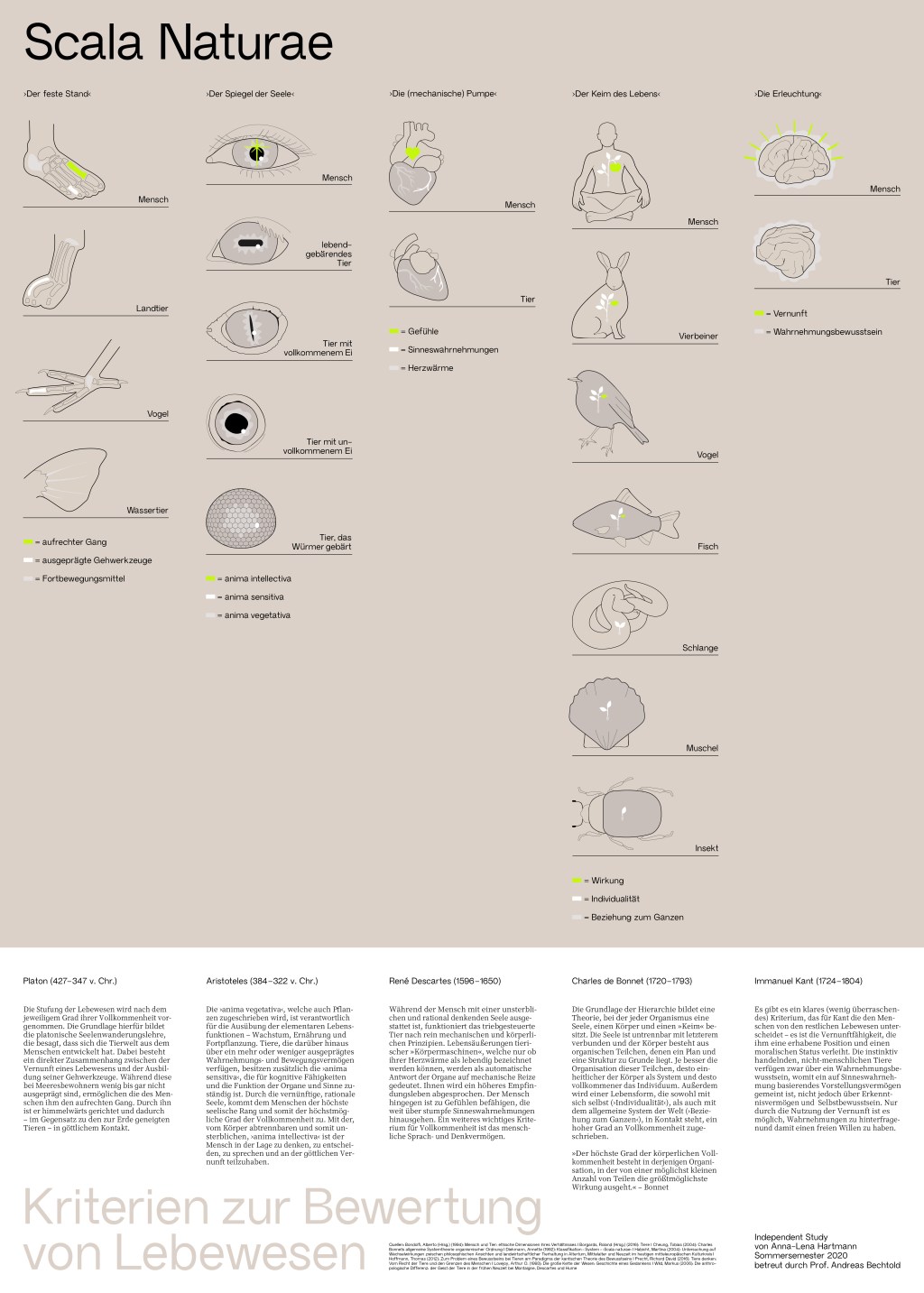 Anna-Lena Hartmann Design